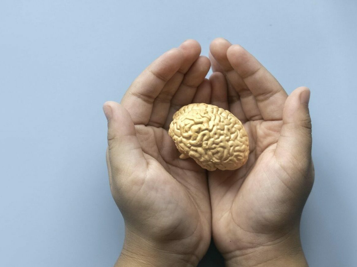 Alzheimer Dementia Parkinson’s Panel – Prodi Lab